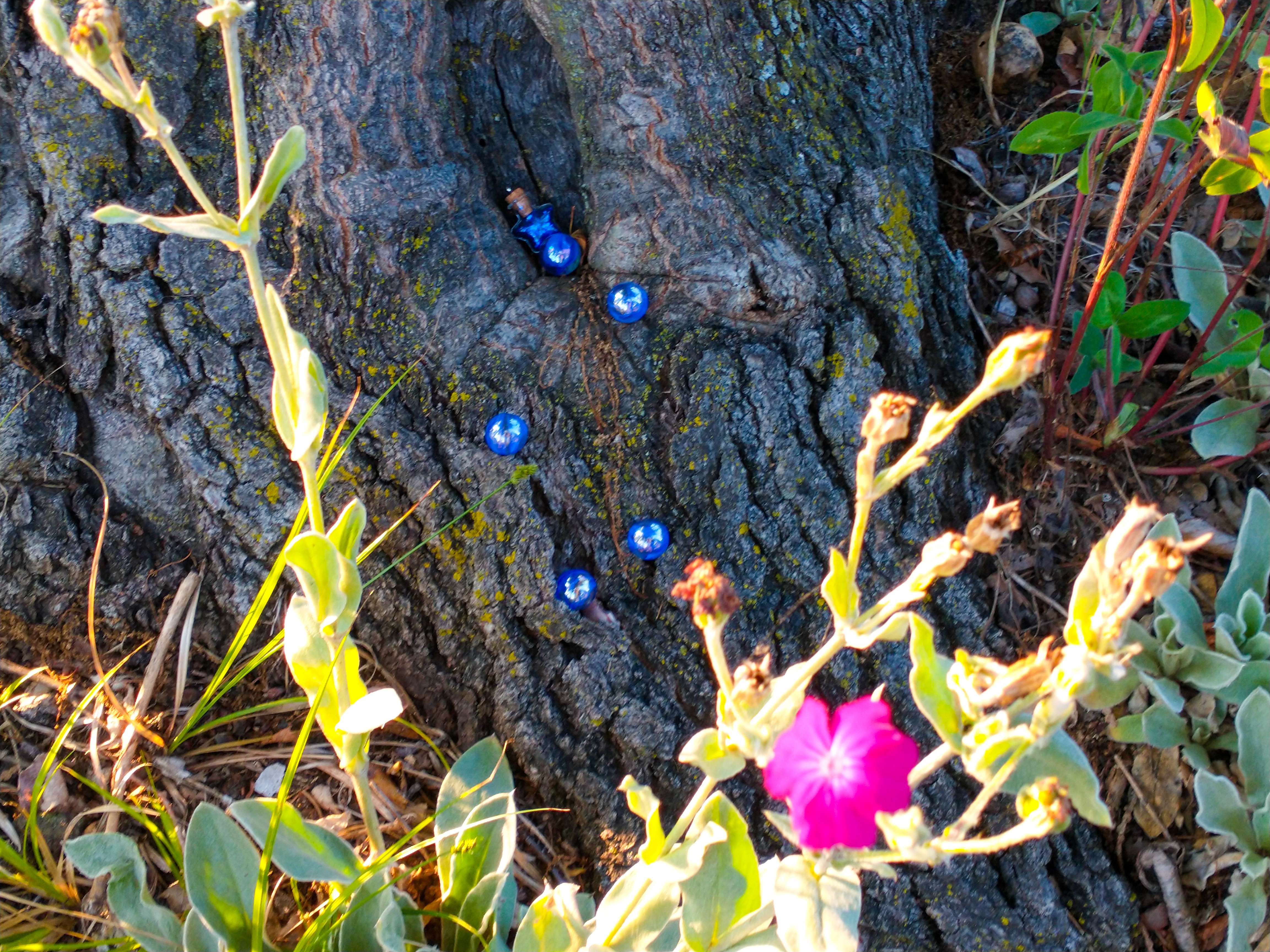 Star Love – Project Marblearth